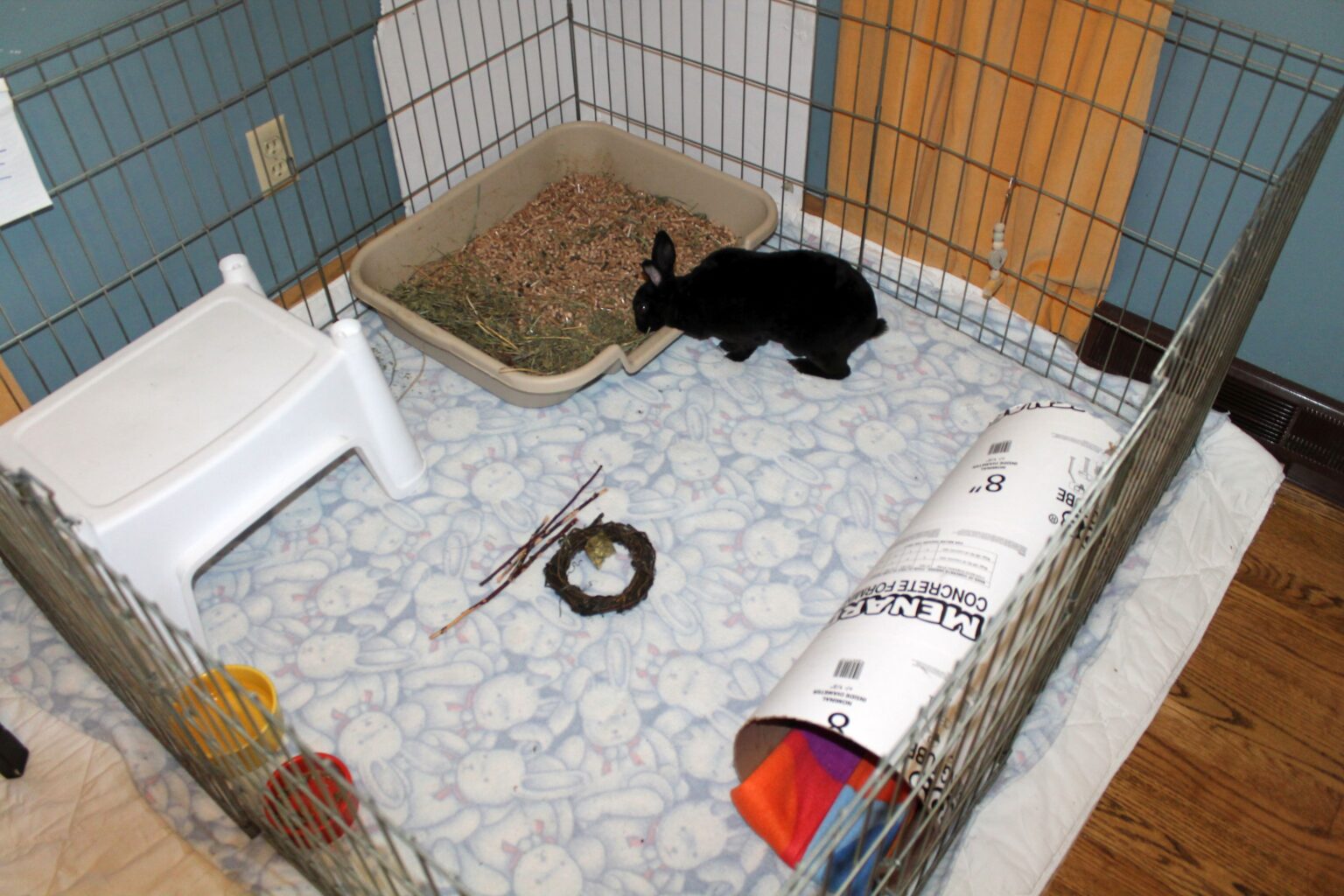 Housing – Wisconsin House Rabbit Society