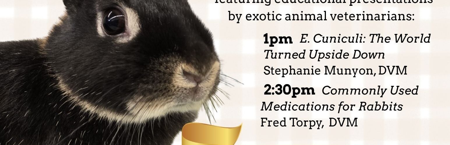 Wisconsin House Rabbit Society – Rescue, Adoption, Education